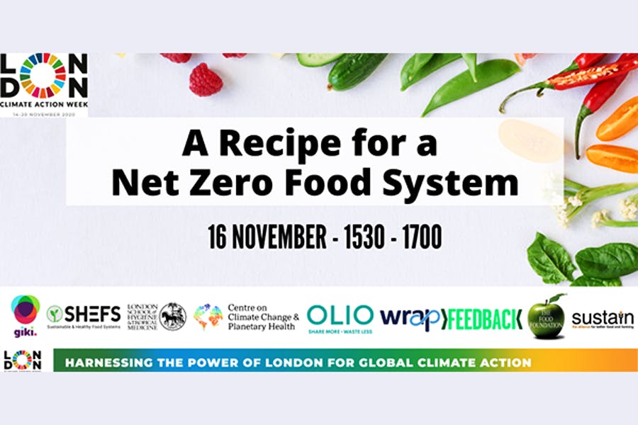 A Recipe for a Net Zero Food System | Future of Food